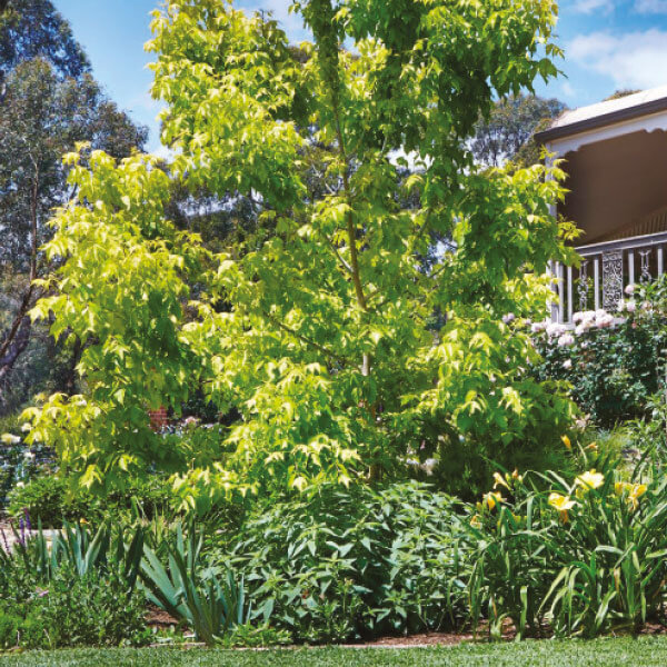 Handy tips - Pope Irrigation