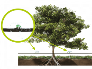 Handy tips - Pope Irrigation